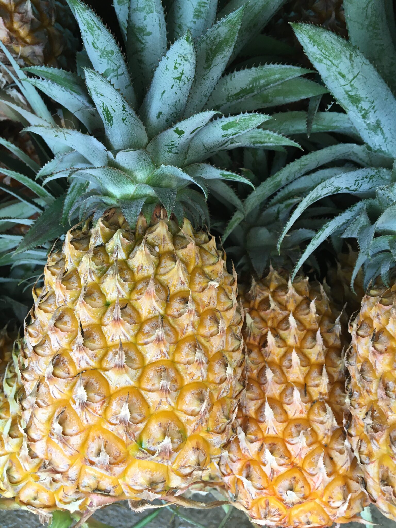 Ananas (piece) – Zot Marché