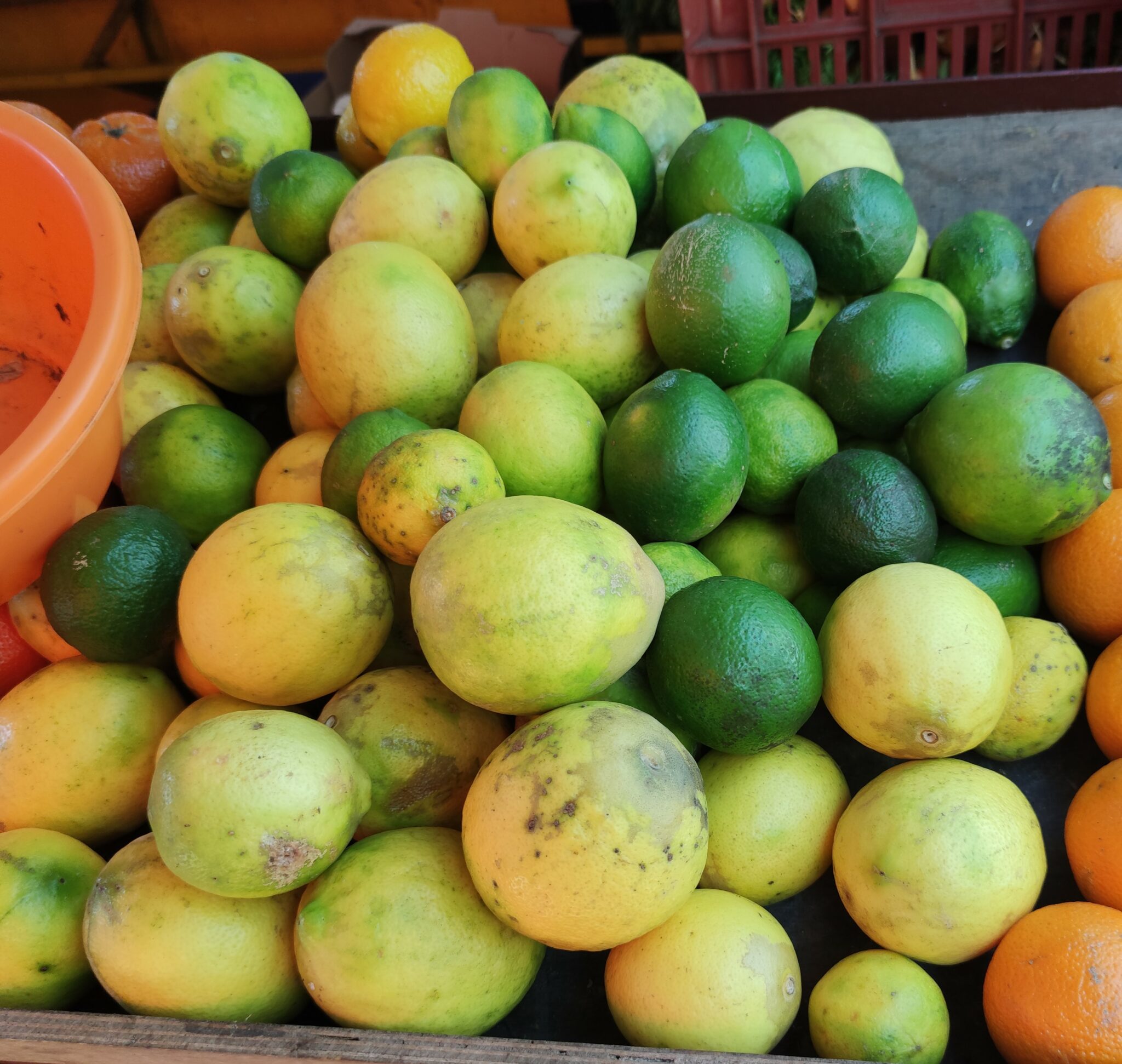 Citron Vert péi (500g) – Zot Marché